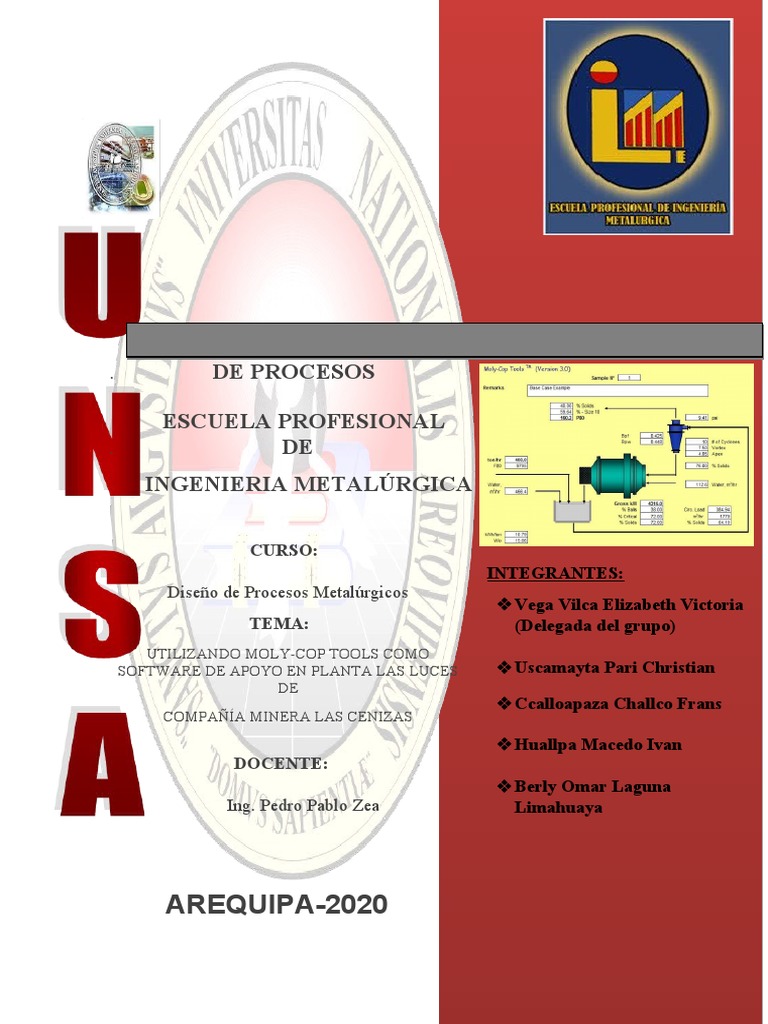 Utilizando Moly-Cop Tools Minera Las Cenizas | PDF | Minería | Software