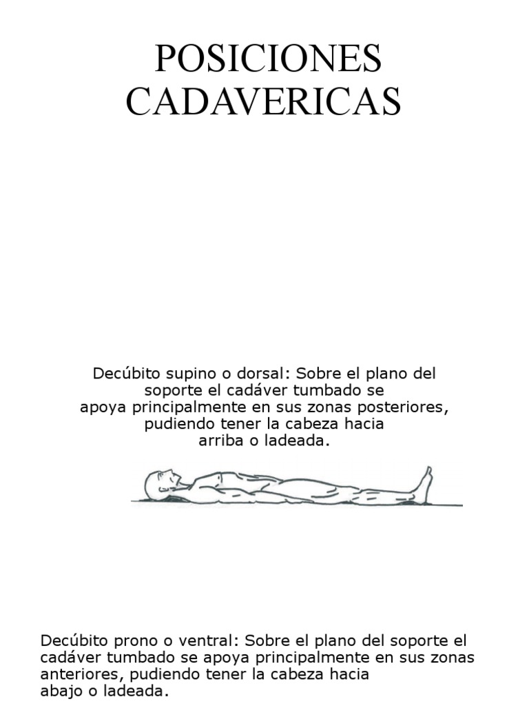 Posiciones Cadavericas. | PDF