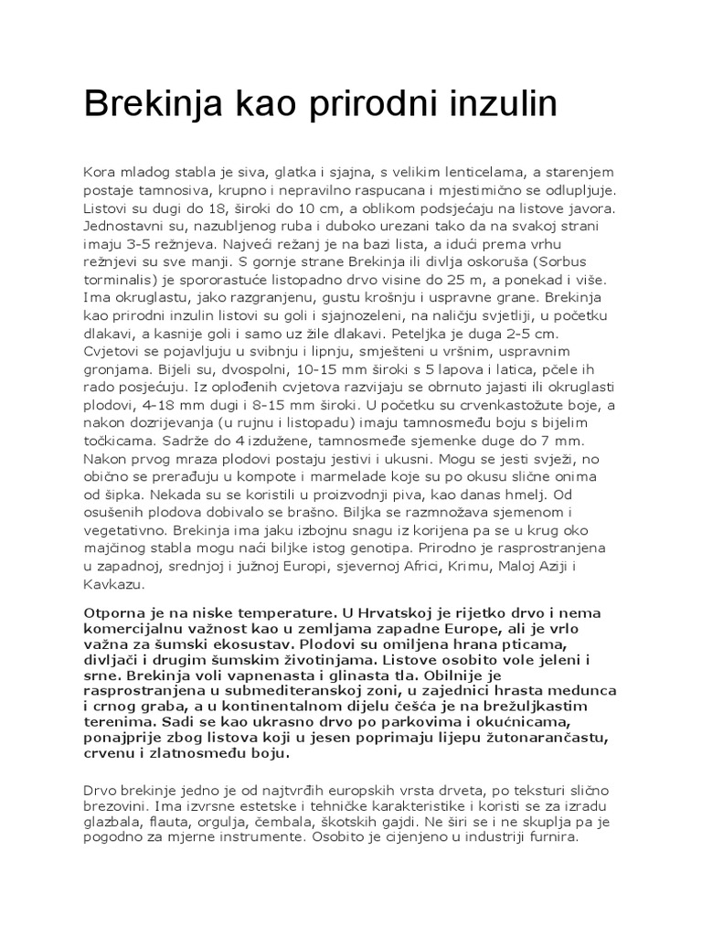 Brekinja Kao Prirodni Inzulin | PDF