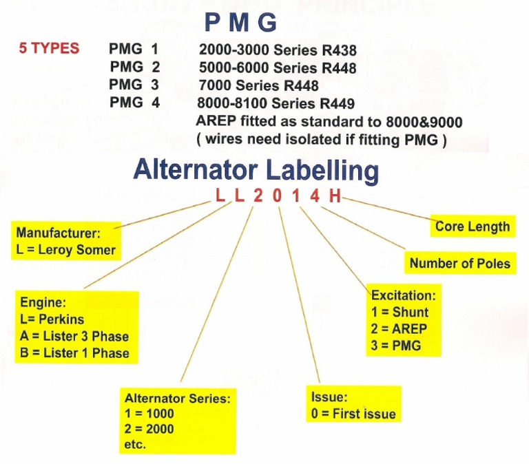 Leroy Somer PMG & Generators | PDF