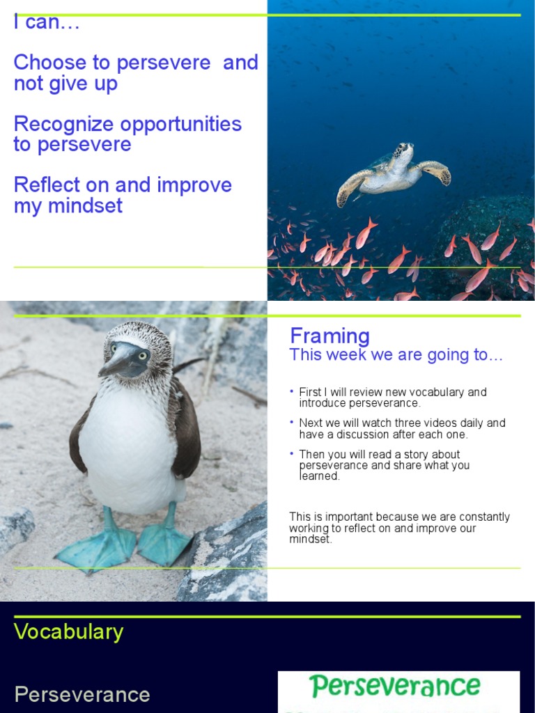 Perseverance 1 PPT 1 | PDF