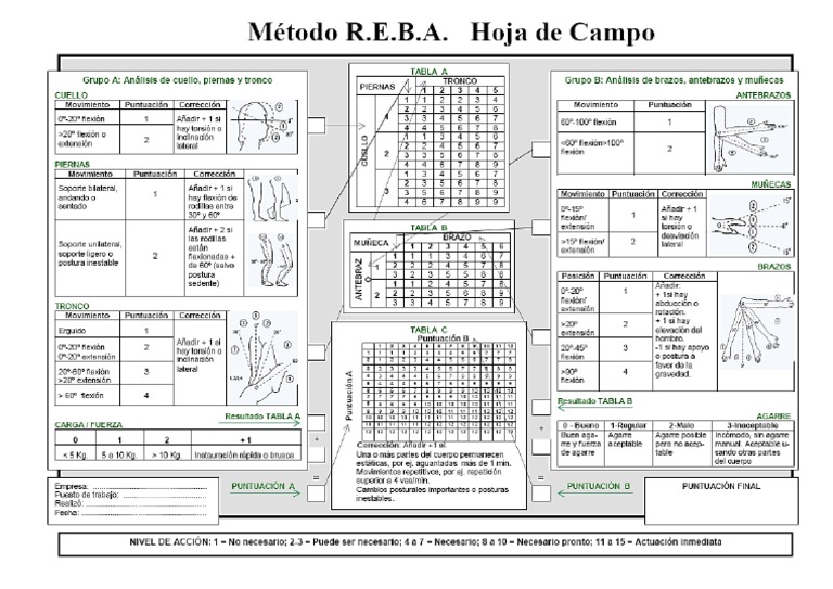 Hoja Campo REBA | PDF