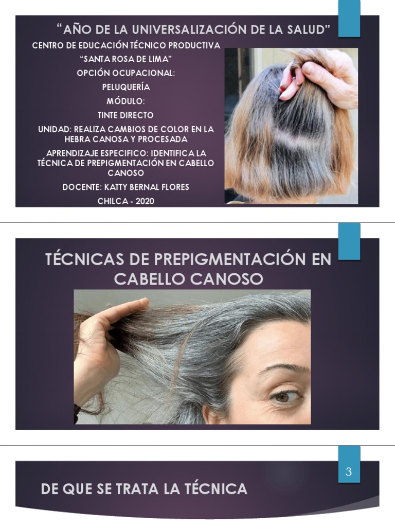 Clase N°13 Online - Técnica de Prepigmentación en Cabello Canoso - 14 ...