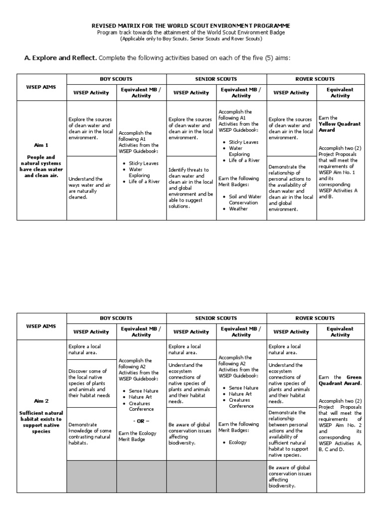Revised Matrix For The World Scout Environment Programme PDF | PDF ...