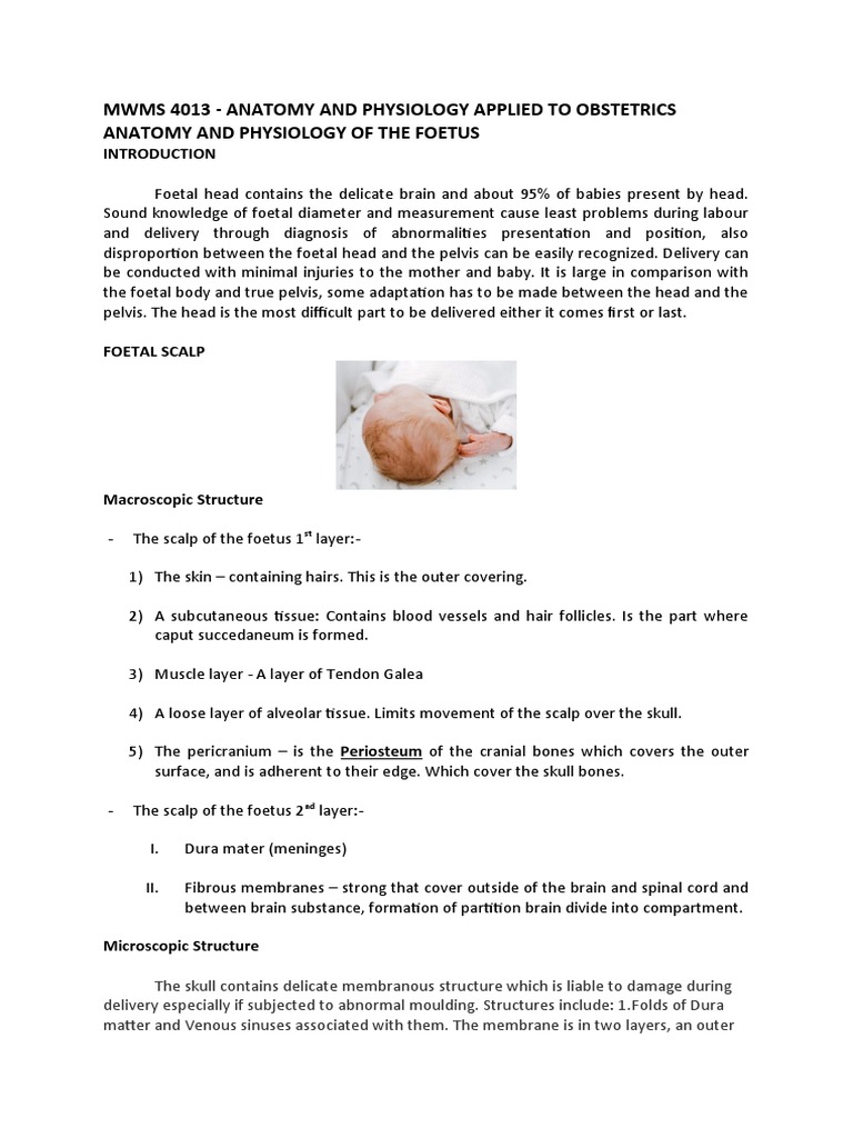 Fetal Scalp & Moulding - MDM Justina | PDF | Childbirth | Skull
