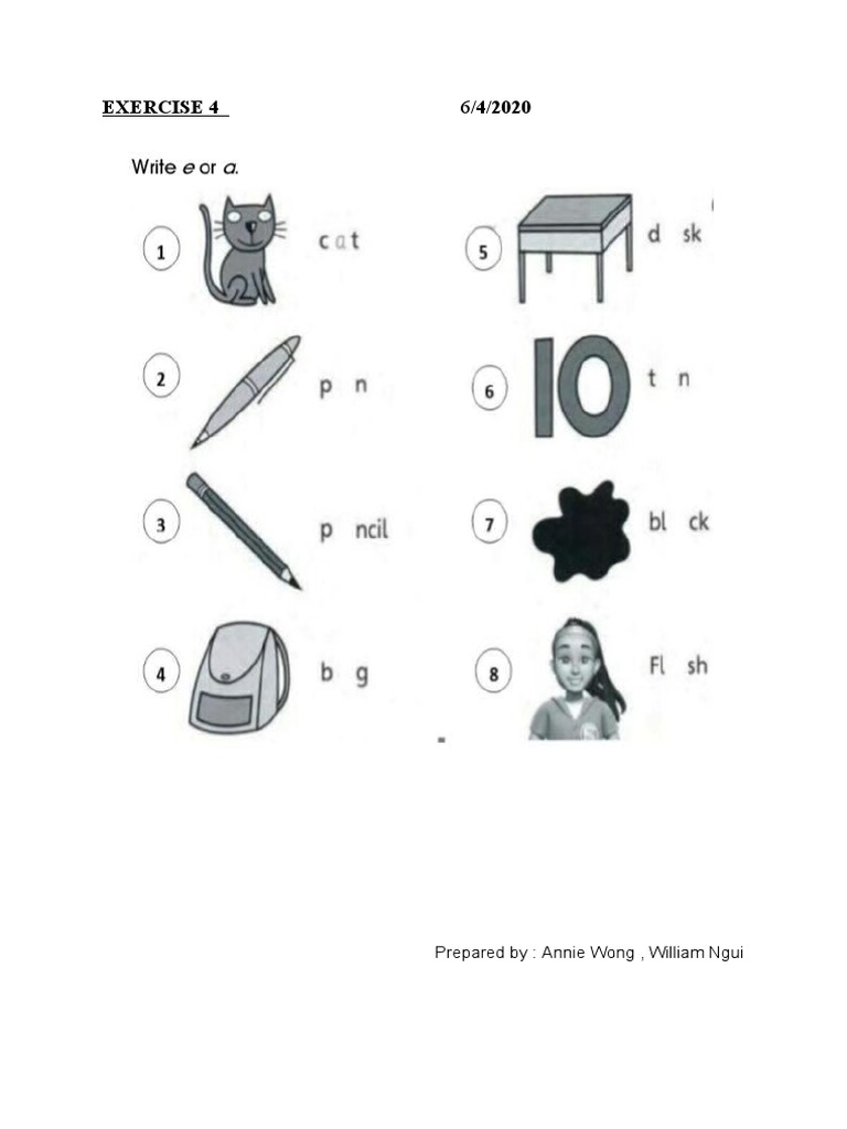 4.6 Year 1 Bi Exercise 4 | PDF