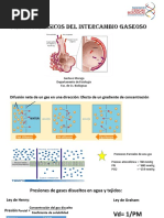 Zonas de West en la fisiología pulmonar | PDF | Hemodinámica | Pulmón