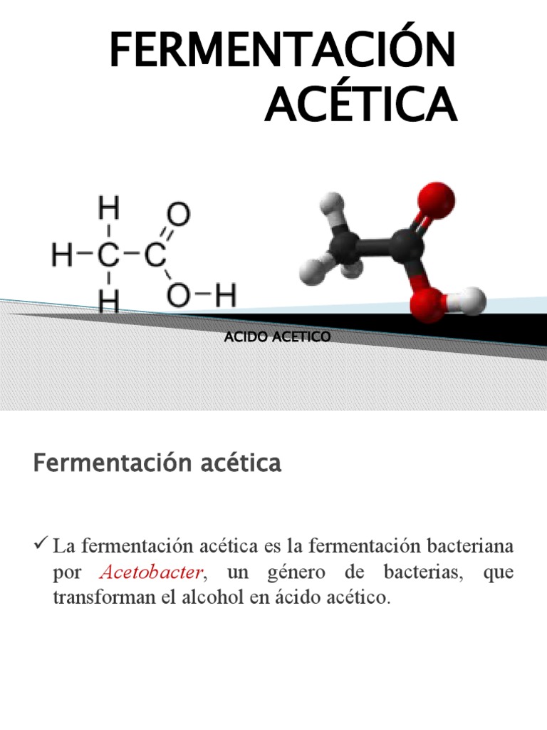 Fermentación Acética | PDF | Ácido acético | Fermentación