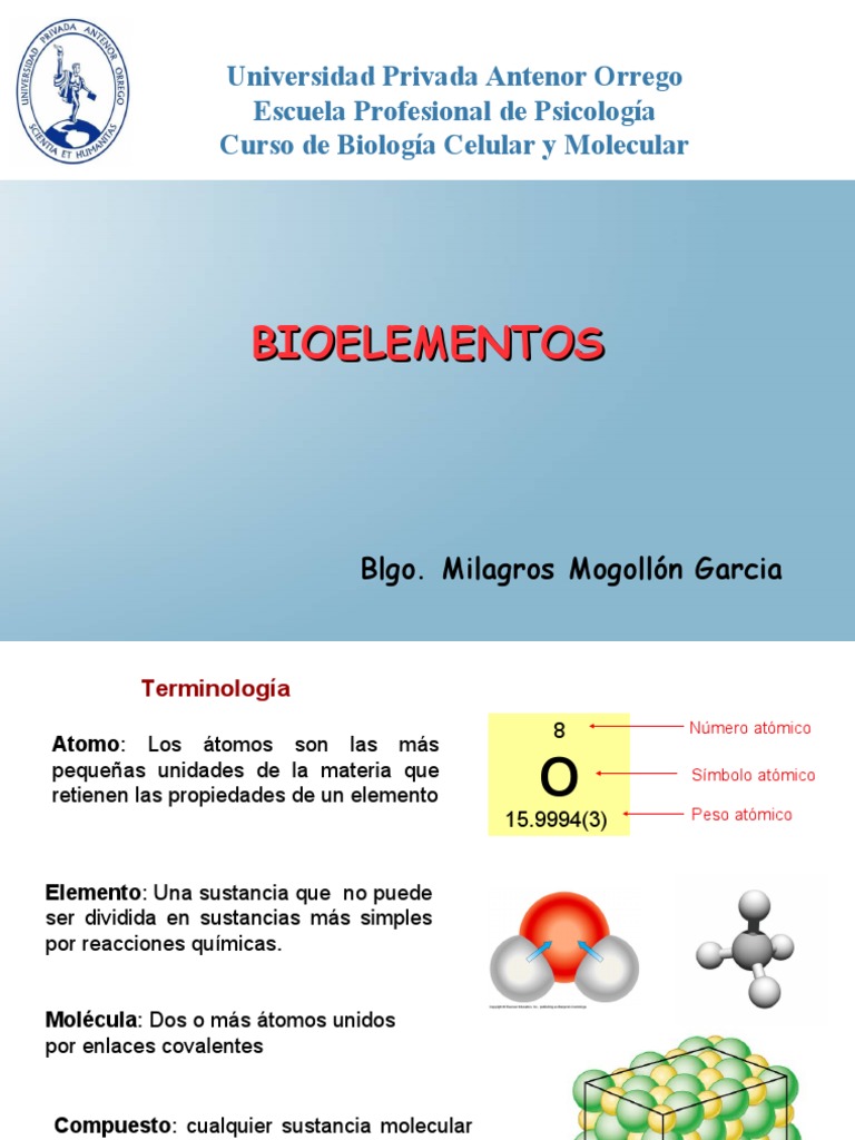 Bioelementos | PDF | Biomoléculas | Moléculas