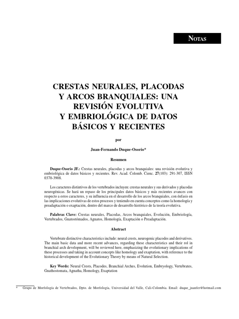 Crestas Neurales Embriologia PDF | PDF | Vertebrados | Anatomía