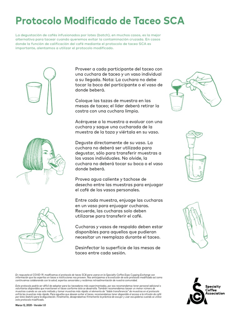 Modified SCA Cupping Protocol Release v1 SCA Spanish Translation | PDF ...