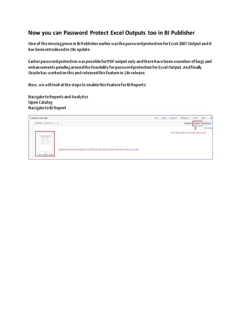 BI Protect Excel Output With Password | PDF | Computers