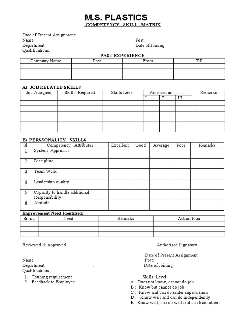 MSP PA 4. Skill Matrix | PDF