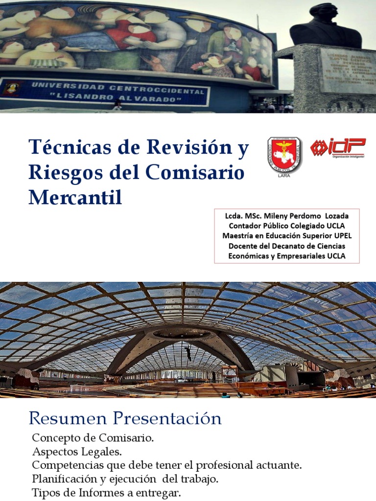 Tecnicas de Revision y Riesgos Del Comisario Mercantil | PDF | Auditoría | Estado financiero