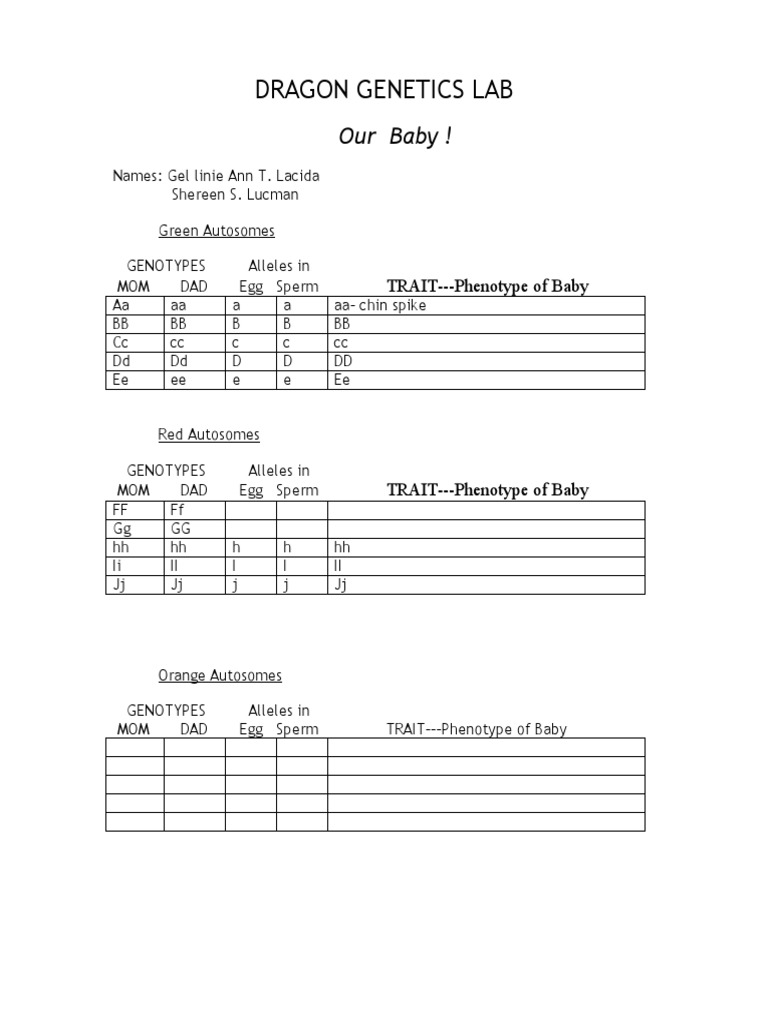 Dragon Genetics 2 Protocol | PDF | Genotype | Allele