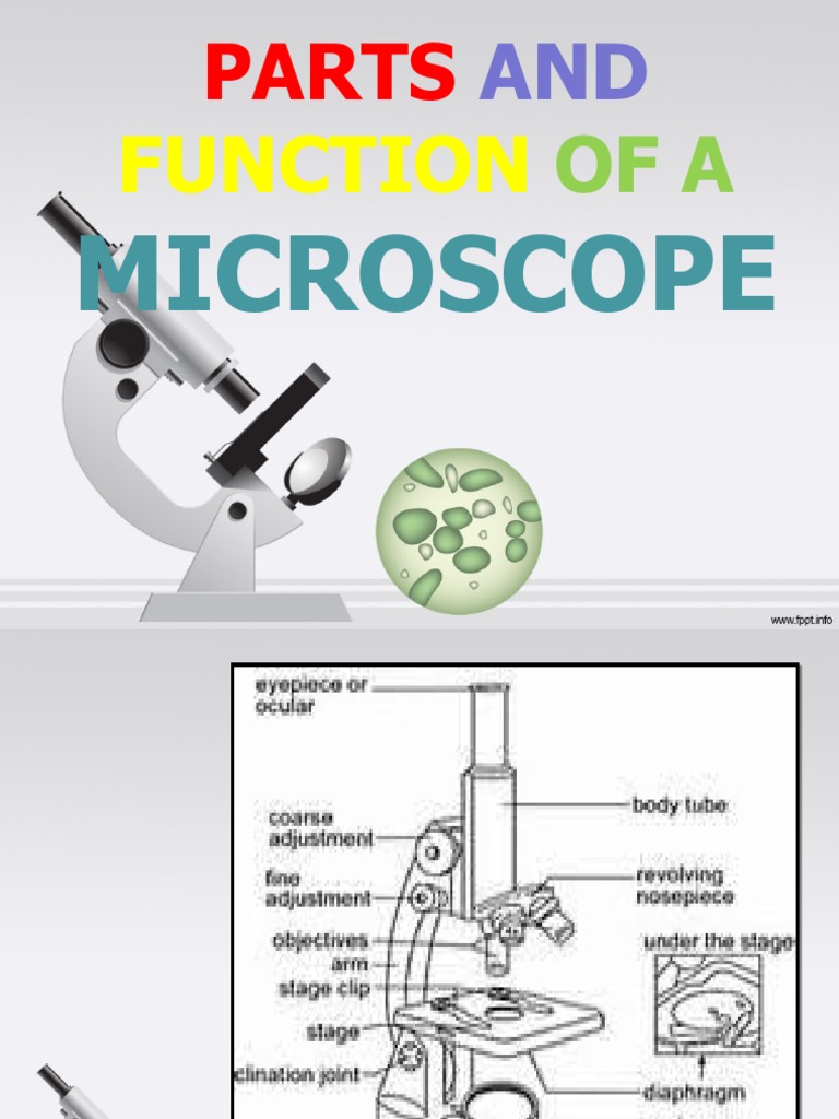 Module 2 - Microscope | PDF