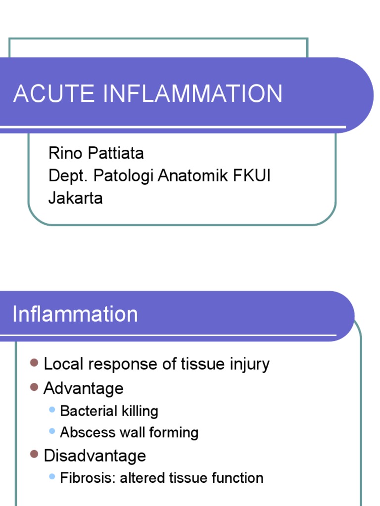 Acute Inflammation: Rino Pattiata Dept. Patologi Anatomik FKUI Jakarta ...