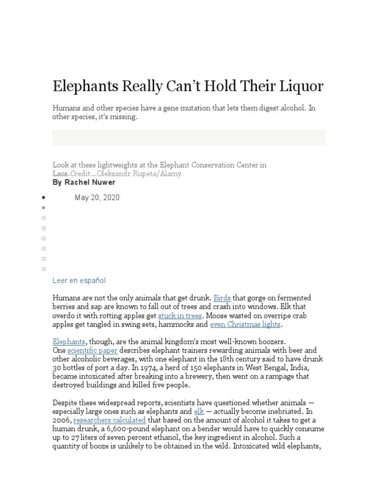 Elephants Really Can't Hold Their Liquor | PDF | Alcohol Intoxication ...