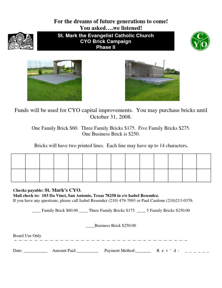 CYO 2008 Brick Campaign | PDF