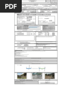 Formato Pesaje | PDF