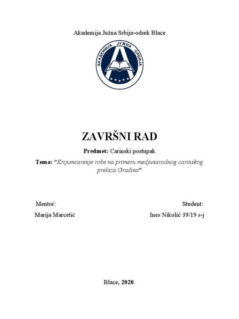 Diplomski Rad-Ines | PDF