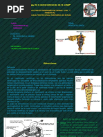 Cálculos Metalúrgicos | PDF | Minerales | Metalurgia