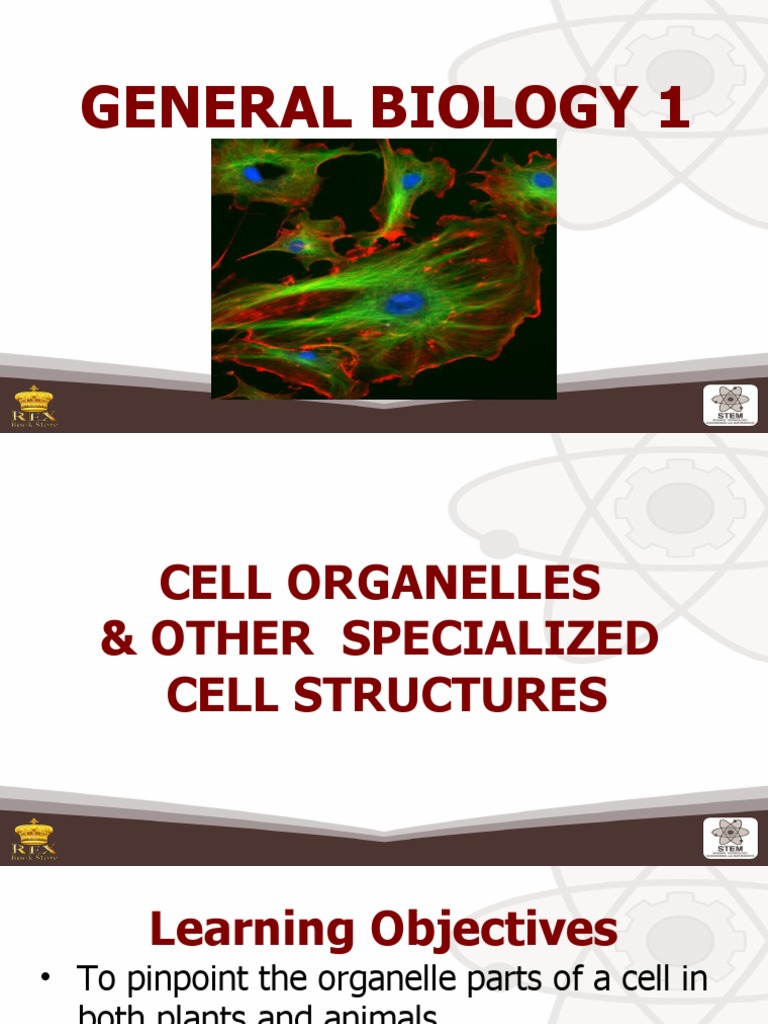 2 Cell Organelles and Other Specialized Cell Structures | PDF ...