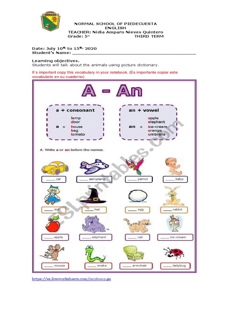 English Guide - Lesson One | PDF | Learning | Cognition