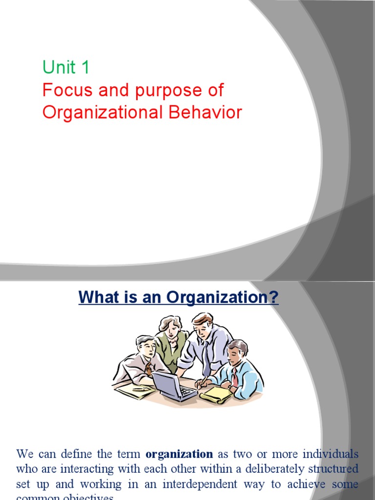 Purpose and Focus of Organizational Behavior | PDF | Organizational ...