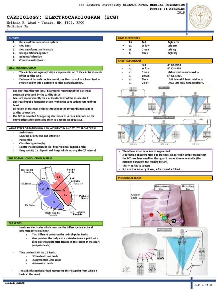 Cardio - ECG | PDF | Electrocardiography | Cardiac Electrophysiology