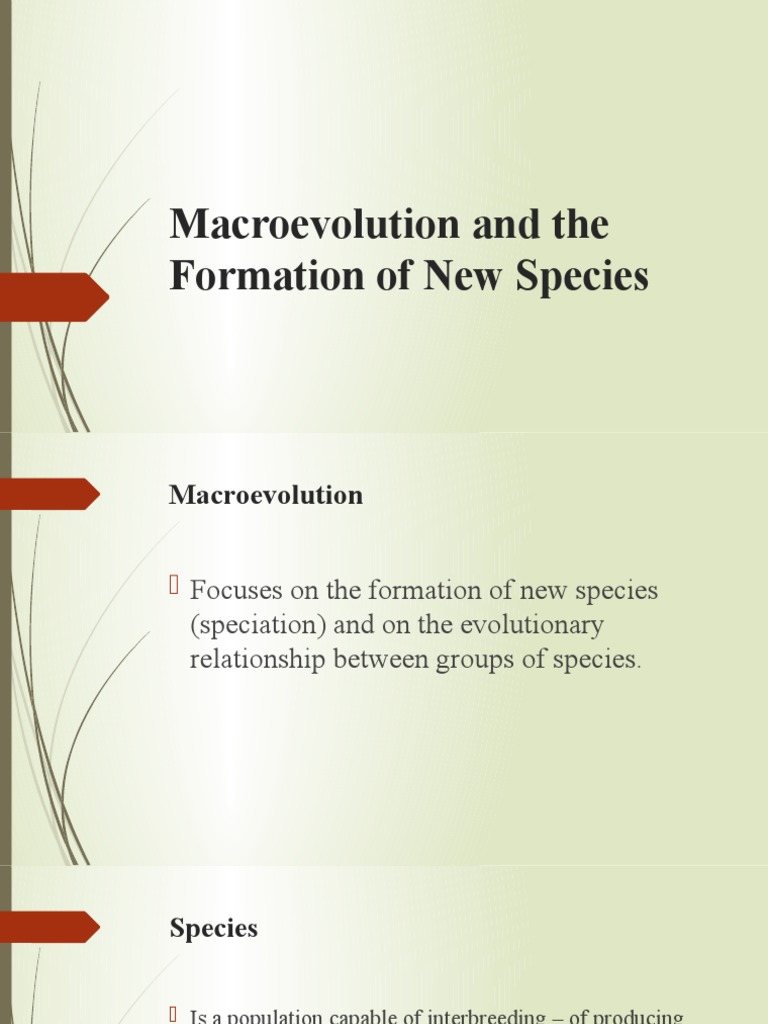 Macroevolution and The Formation of New Species | PDF | Homo | Ape