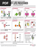 Sec 1 Science Notes | PDF | Mixture | Density