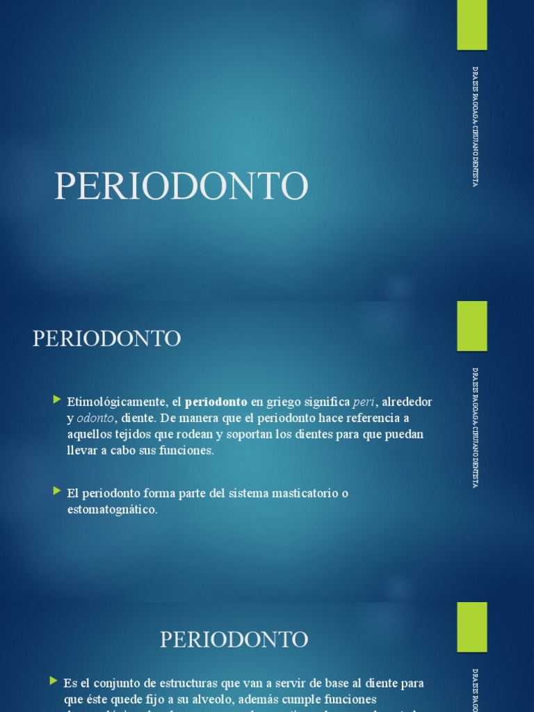 Anatomia Del Periodonto | PDF | Odontología | Anatomia dental