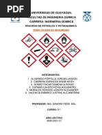 LGAF3e Safety PDF | PDF | Formaldehído | Agua
