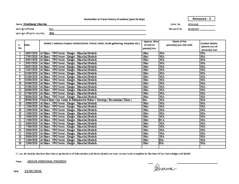 Travel History BLANK FORM | PDF