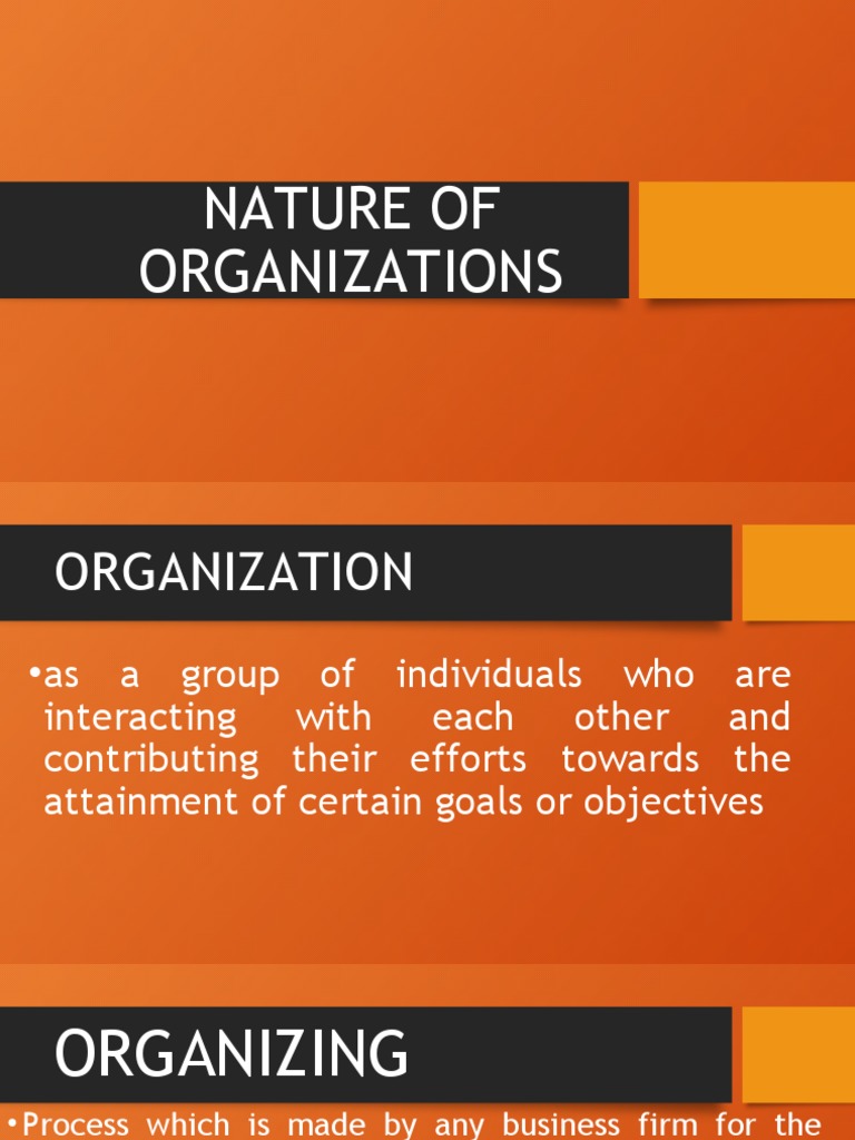 Nature of Organizations | PDF | Goal | Business