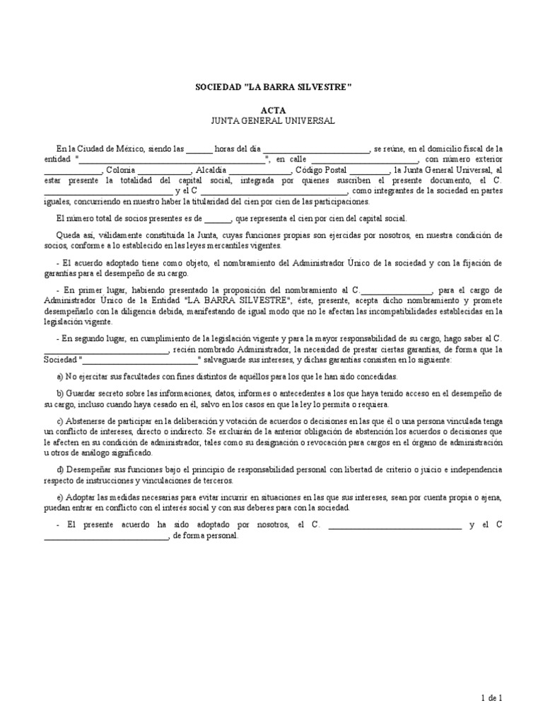 Formato Acta Nombramiento Administrador Unico | PDF | Votación ...