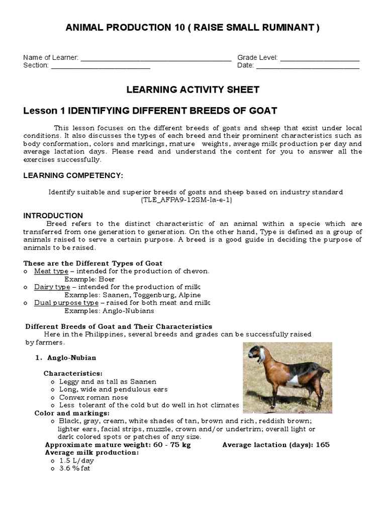Animal Production 10 (Raise Small Ruminant) : Learning Competency | PDF | Goat | Domesticated ...
