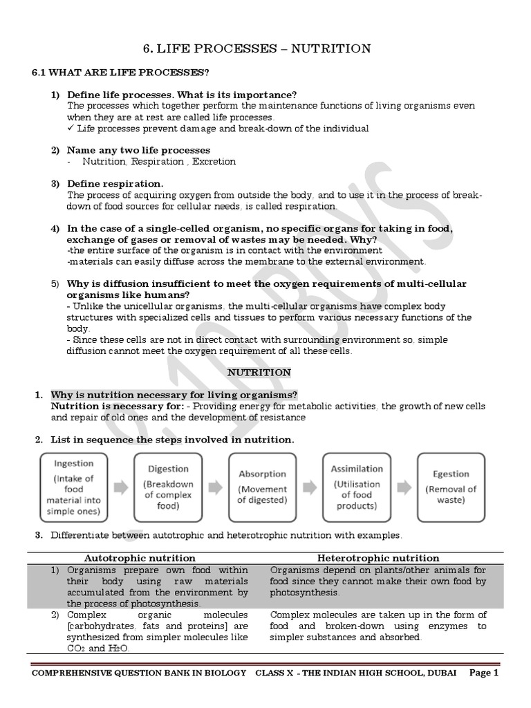 Life Processes - Nutrition QB - 2019 PDF | PDF | Digestion | Stomach