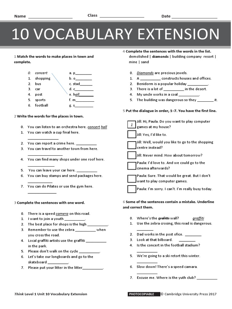 Unit 10 Vocab&Grammar | PDF