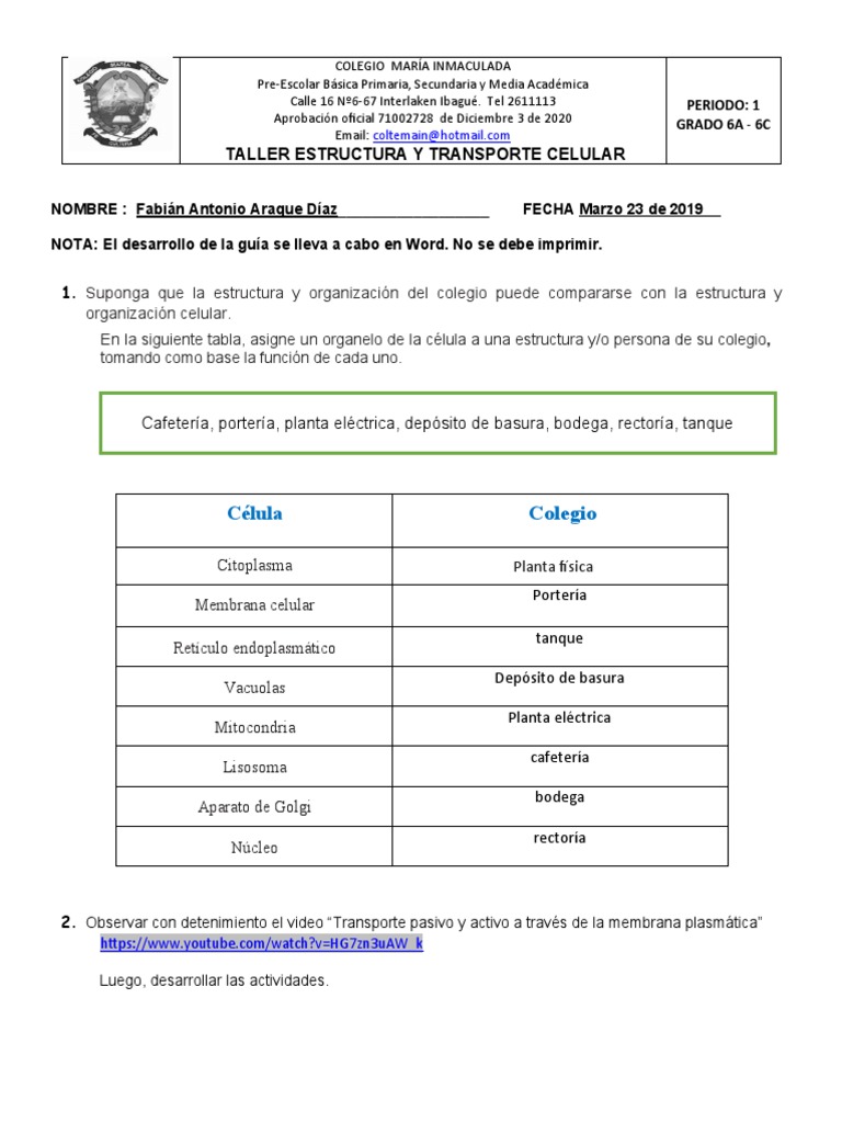 Taller Estructura Celular | PDF | Membrana celular | Biología Celular)