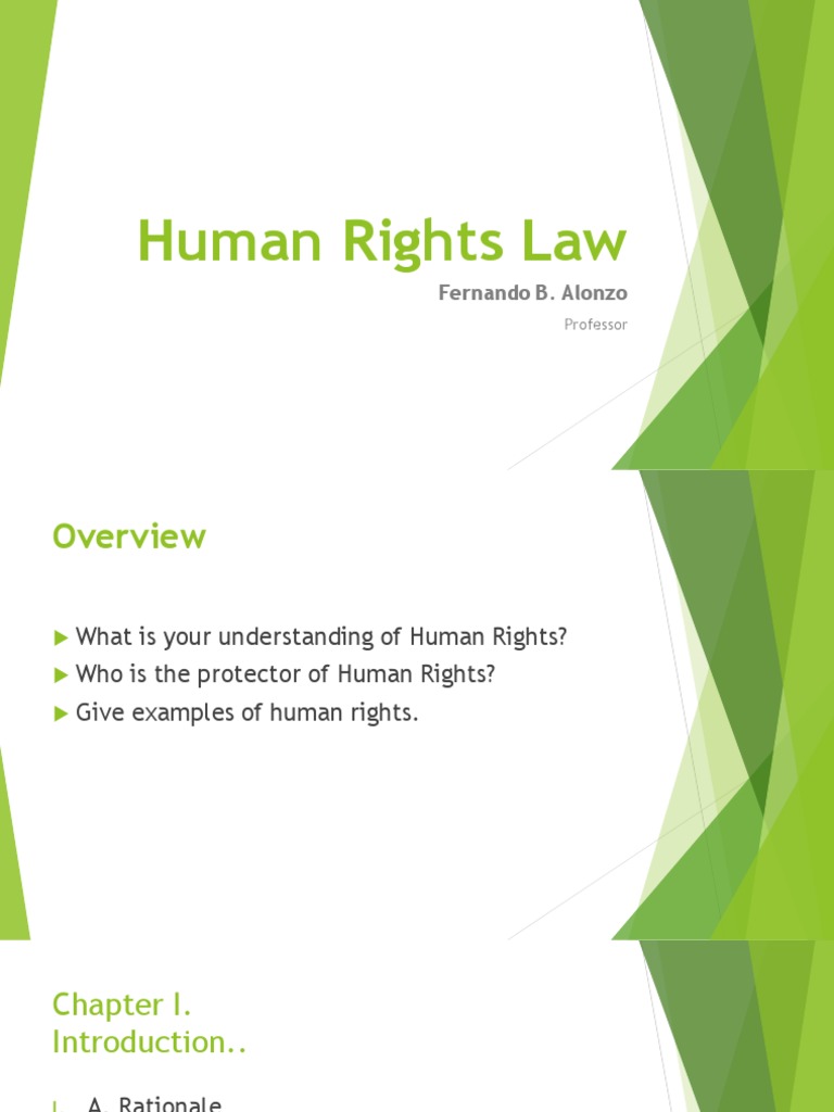 Human Rights Law Overview and Principles | PDF | International Human ...