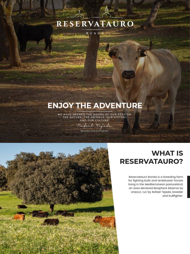 1 Información DMC Reservatauro Ronda | PDF | Bullfighting | Animals And ...