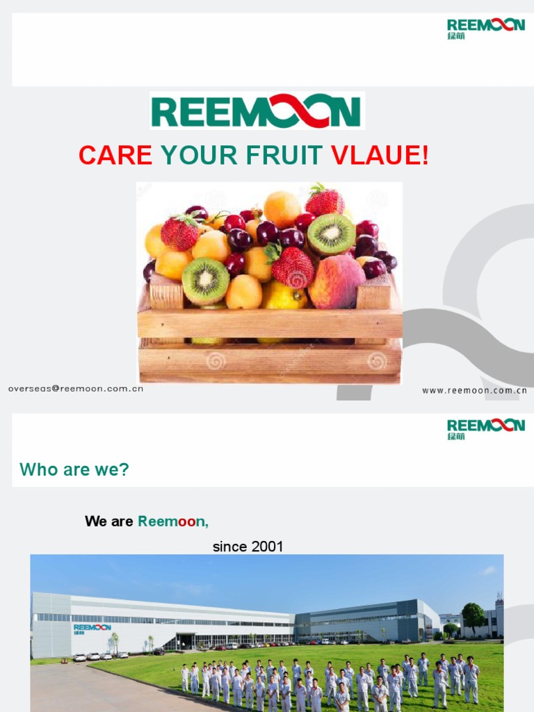 Reemoon Technology Holdings 2019 | PDF | Orange (Fruit) | Fruit