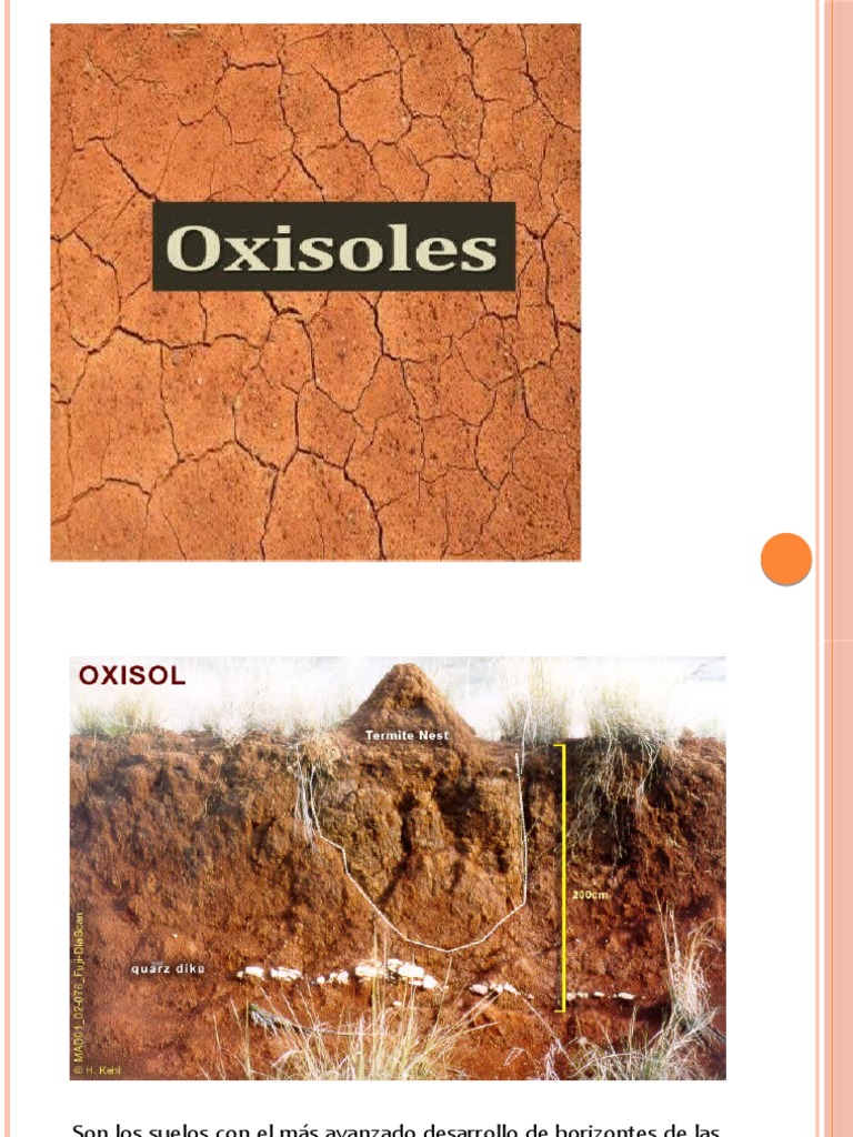 Oxisoles | PDF | Suelo | Earth Sciences