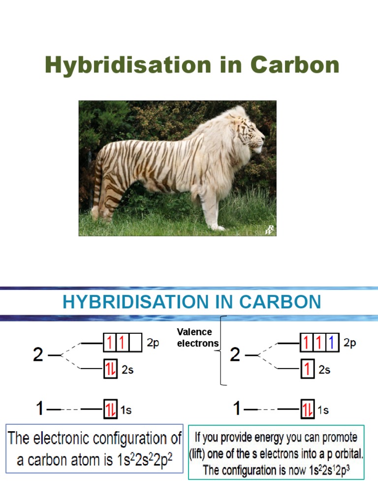 Lesson 4 Hybridisation of Carbon | Download Free PDF | Chemical Bond ...