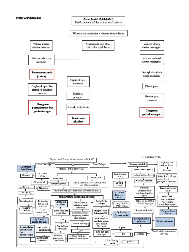 Pathway Asd VSD | PDF