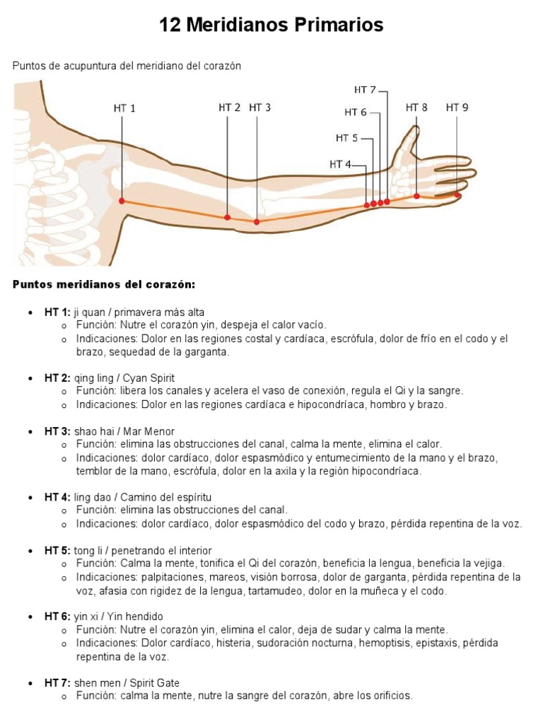 Canales de La MTC | PDF | Digestión | Acupuntura
