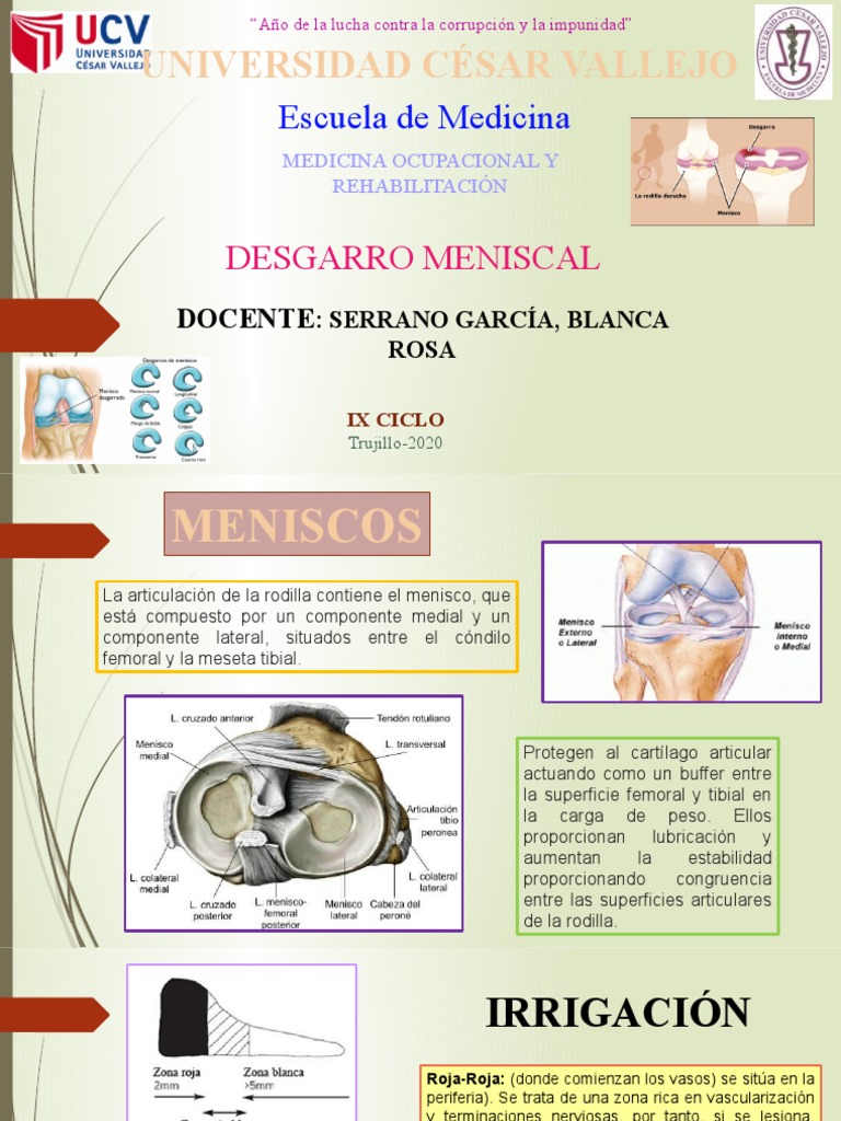 Desgarro Meniscal | PDF | Rodilla | Articulaciones