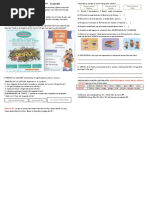 Palabras Terminadas en Ción, Sión, Xión y Cción | PDF | Artes del ...